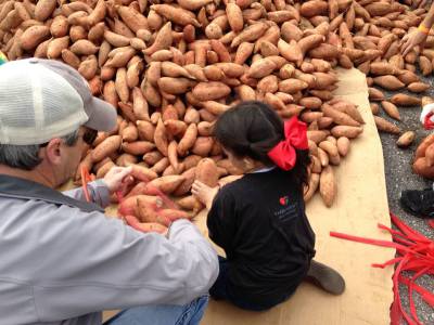 Crop Drop | Sandestin Foundation for Kids